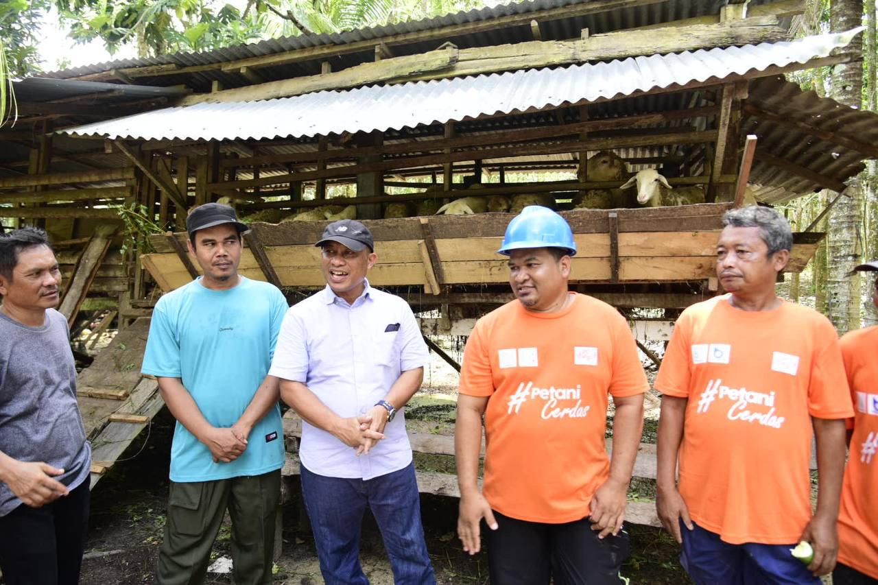 Poktan Tani Jaya Desa Muara Basung Sukses Ternak Sapi dan Kambing ...